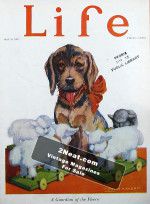 LIFE 1922 Magazines For Sale - 2Neat Magazines - Original LIFE ...